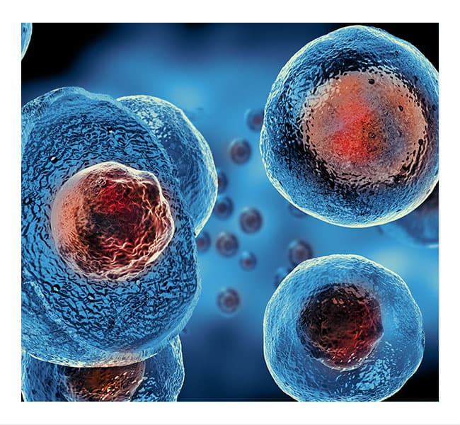 Stem Cell Therapy NYC - Stem Cell Therapy for Oral Health NYC